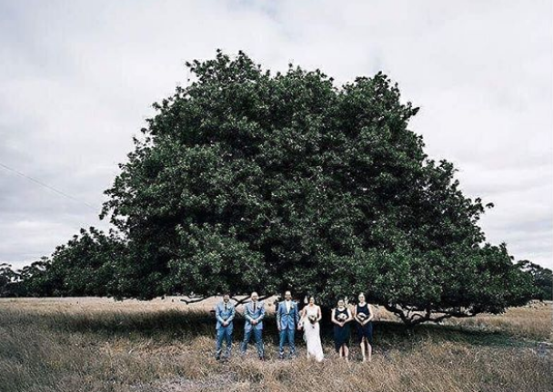 Weddings :: Quamby Homestead Fine Accommodation